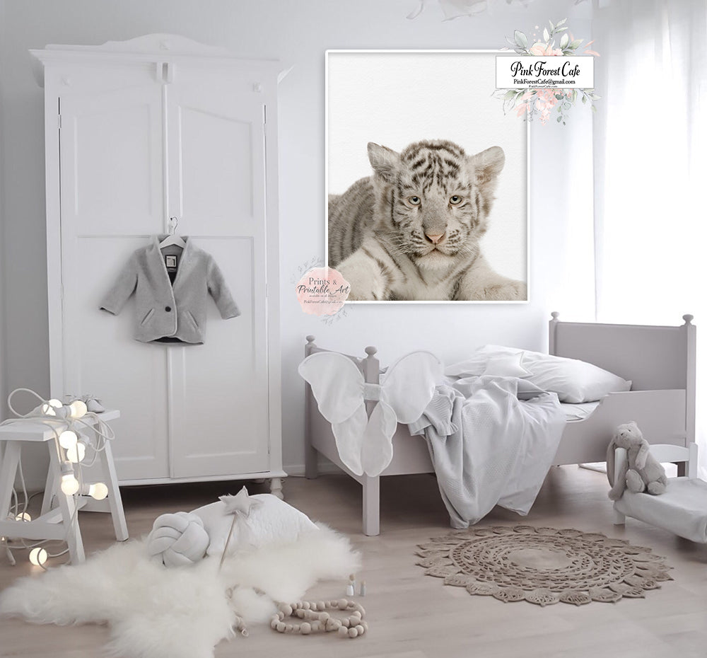 White Tiger Cub Photo Wall Art Print Zoo Nursery Baby Room Isolated An ...